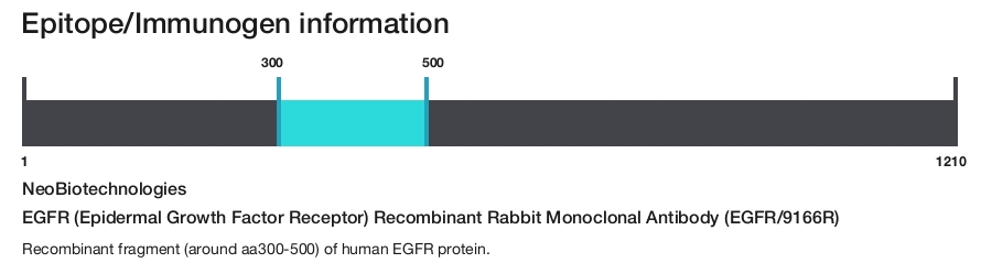 EGFR (Epidermal Growth Factor Receptor) Recombinant Monoclonal Antibody ...