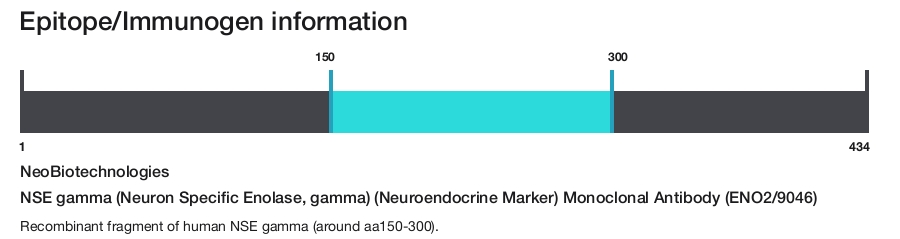 NSE gamma (Neuron Specific Enolase, gamma) (Neuroendocrine Marker ...