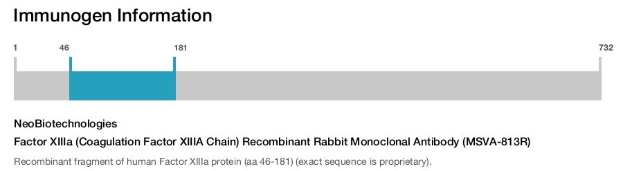 Factor XIIIa (Coagulation Factor XIIIA Chain) Recombinant Monoclonal ...