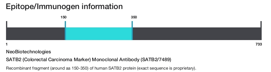 SATB2 (Colorectal Carcinoma Marker) Monoclonal Antibody (SATB2/7489 ...