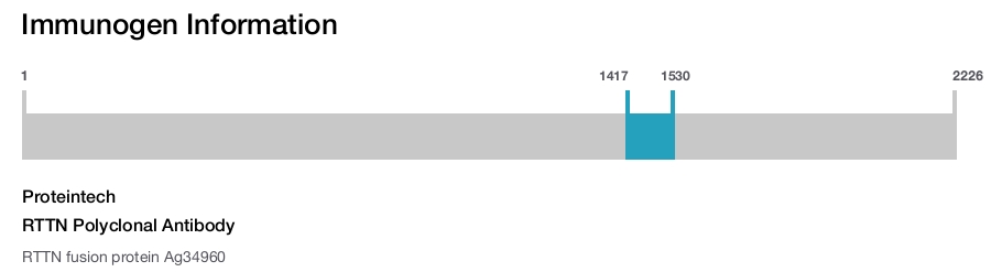 RTTN Polyclonal Antibody (31232-1-AP)