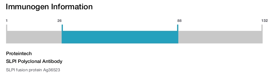 SLPI Polyclonal Antibody (32205-1-AP)