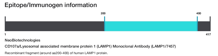 CD107a/Lysosomal associated membrane protein 1 (LAMP1) Monoclonal ...