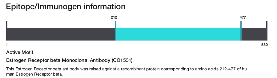 Estrogen Receptor beta Monoclonal Antibody (CO1531) (39768)