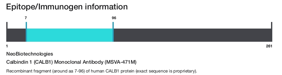 Calbindin 1 (CALB1) Monoclonal Antibody (MSVA-471M) (793-MSM21-P1)