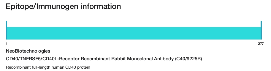 CD40/TNFRSF5/CD40L-Receptor Recombinant Rabbit Monoclonal Antibody (C40 ...