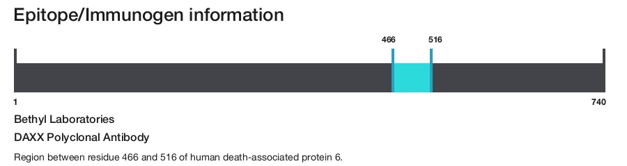 DAXX Polyclonal Antibody | Invitrogen (A301-353A-T)