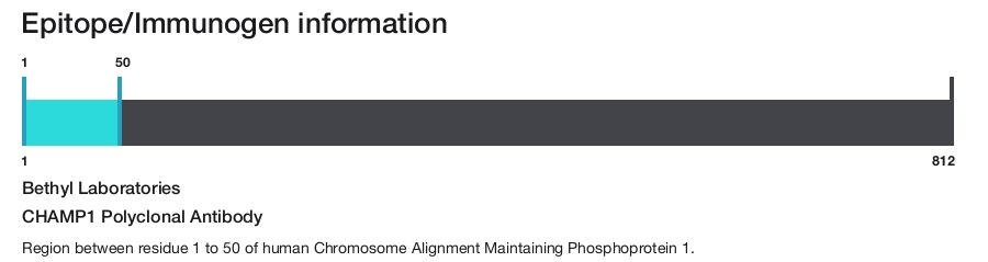 CHAMP1 Polyclonal Antibody | Invitrogen (A304-216A-T)