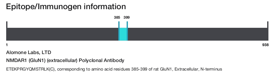 NMDAR1 (GluN1) (extracellular) Polyclonal Antibody | Invitrogen (AGC ...