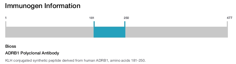 ADRB1 Polyclonal Antibody (BS-0498R)