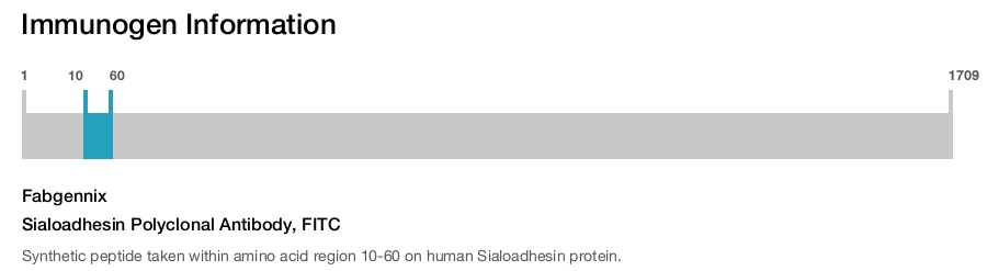 Sialoadhesin Polyclonal Antibody, FITC (CD169-FITC)