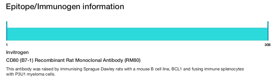 CD80 (B7-1) Recombinant Monoclonal Antibody (RM80) (MA5-48133)