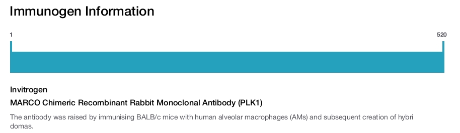MARCO Chimeric Recombinant Monoclonal Antibody (PLK1) (MA5-48228)