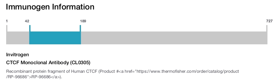 CTCF Monoclonal Antibody (CL0305) (MA5-51984)