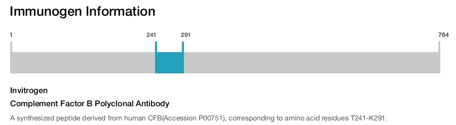 Complement Factor B Polyclonal Antibody (PA5-106888)