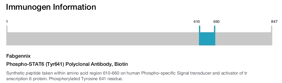 Phospho-STAT6 (Tyr641) Polyclonal Antibody, Biotin (PSTAT6-BIOTIN)