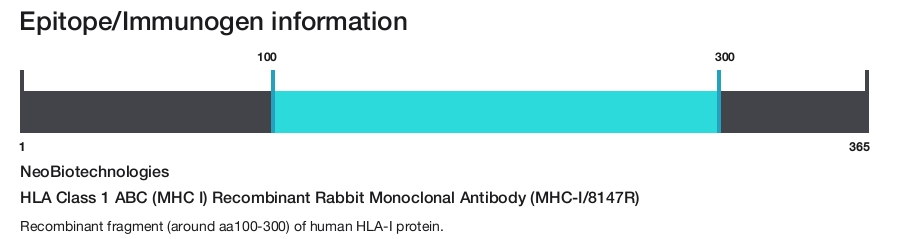 HLA Class 1 ABC (MHC I) Recombinant Rabbit Monoclonal Antibody (MHC-I ...