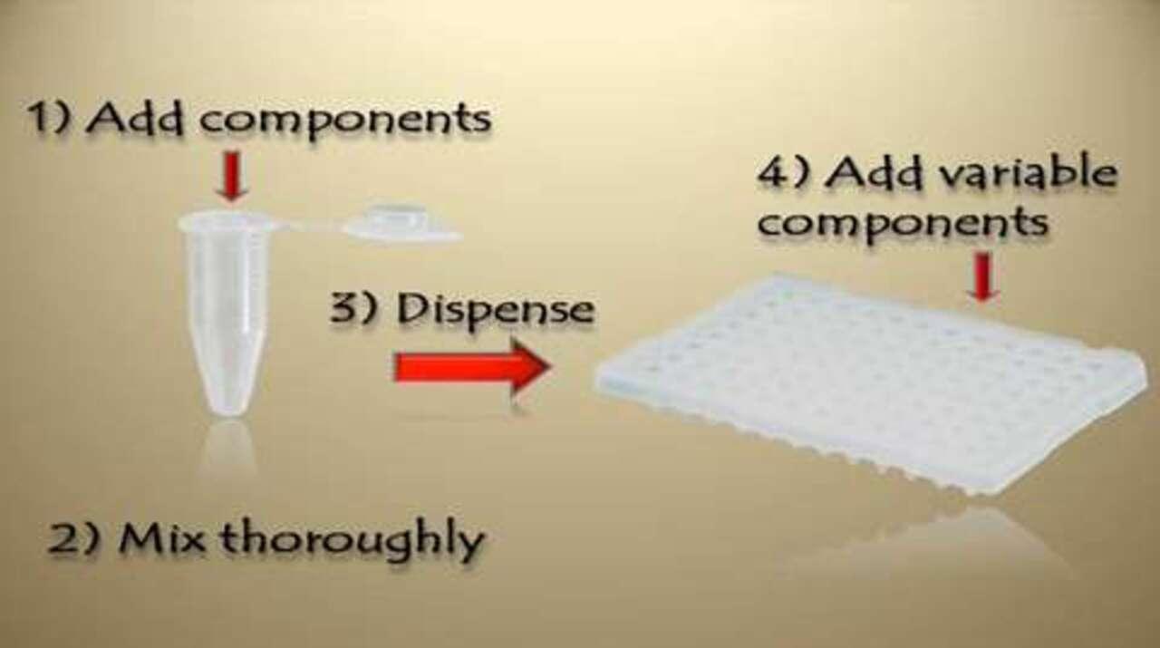 Protein Thermal Shift™ | Thermo Fisher Scientific - CN