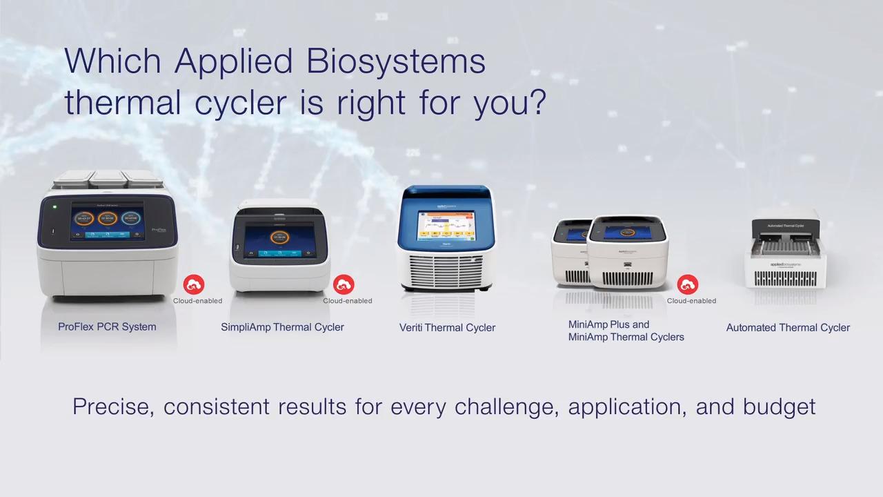 PCR Education | Thermo Fisher Scientific - CN