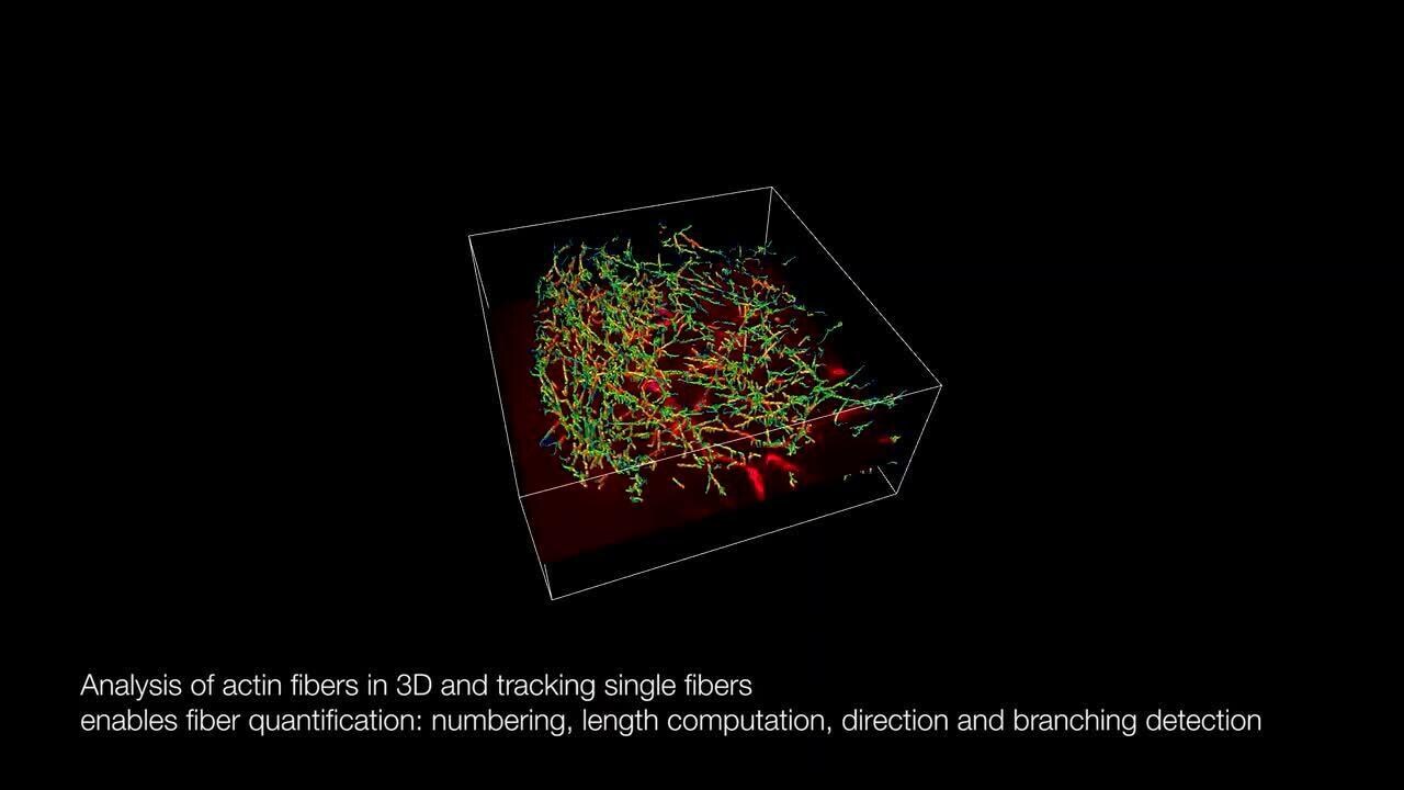 HCS and HCA Sample Data | Thermo Fisher Scientific - CN
