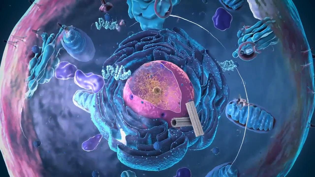 Orbitrap Ascend Tribrid 质谱仪 | Thermo Fisher Scientific - CN