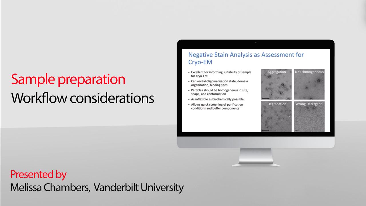Cryo-EM University | Getting Started in Cryo EM | Thermo Fisher ...