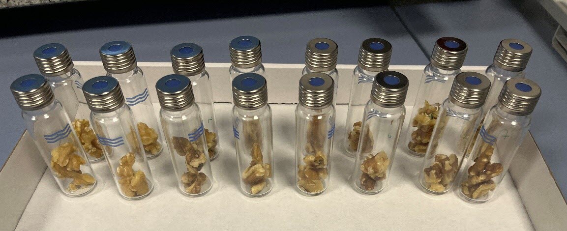 Headspace GC-MS Analysis: Ideal for Rancidity in Nuts - AnalyteGuru