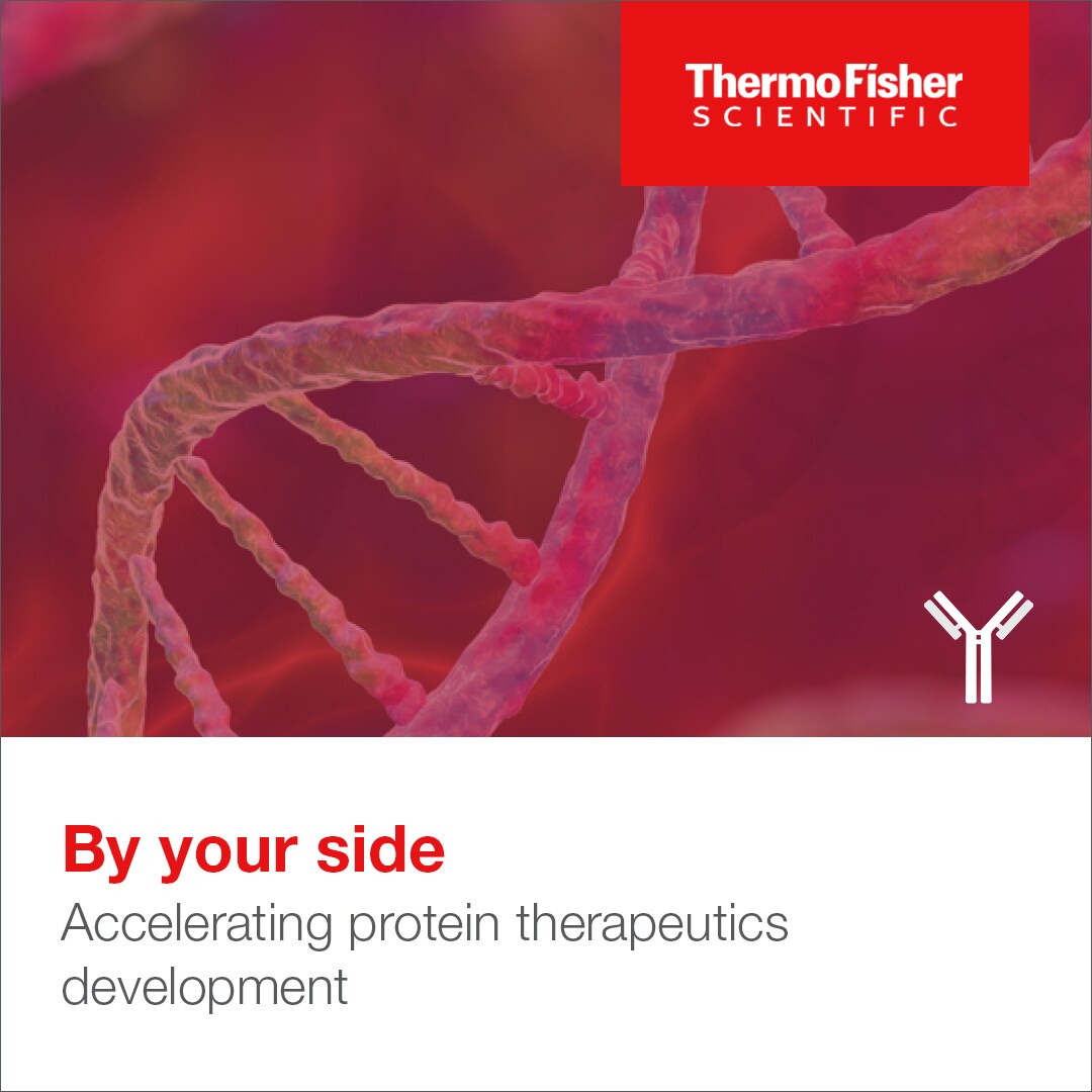 Back to Basics – Protein Characterization in Research and ...