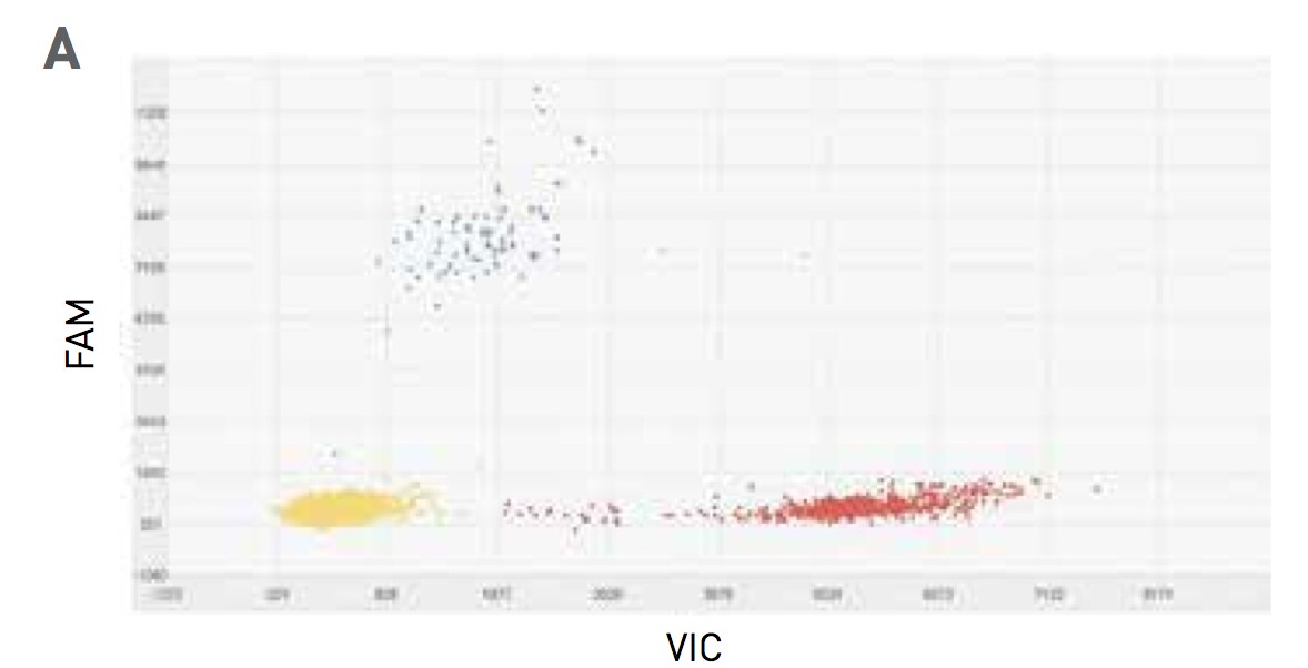 Rare mutation detection using the QuantStudio® 3D Digital PCR System ...
