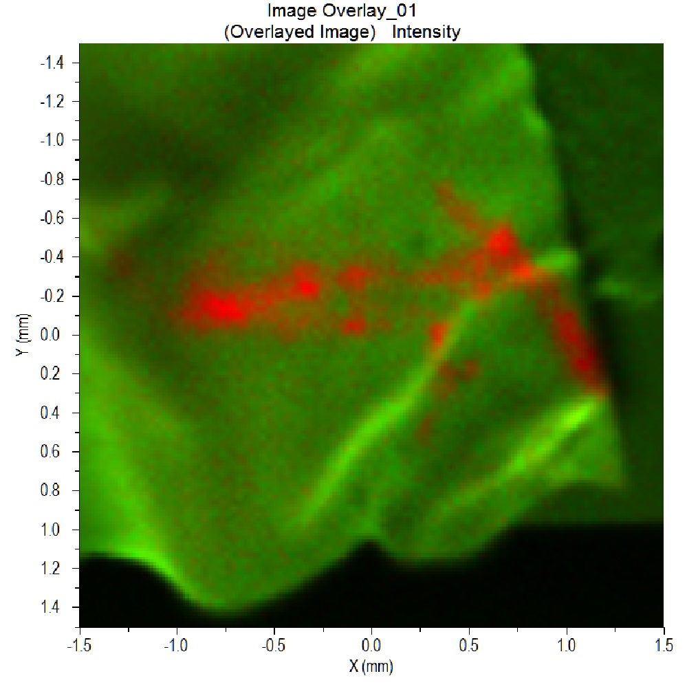 2D Materials - Raman - X-ray Photoelectron - Advancing Materials