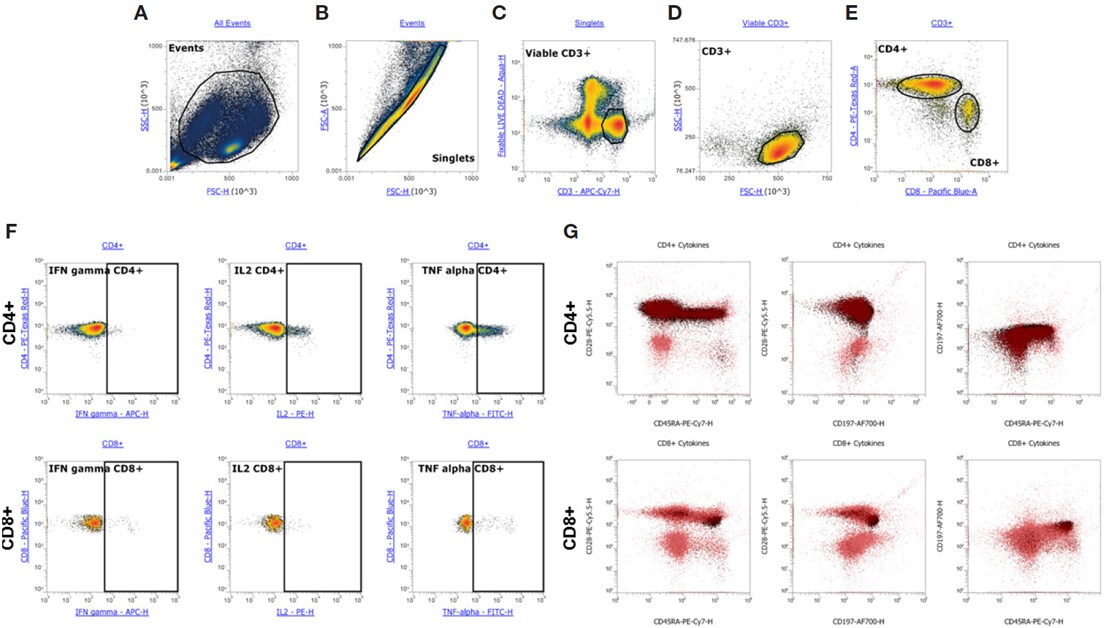 Validated 10-Color T Cell Panel Using the Attune NxT Flow Cytometer ...