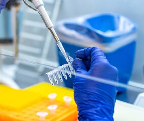 PCR/qPCR Plates and Tubes Troubleshooting Guide | Thermo Fisher ...