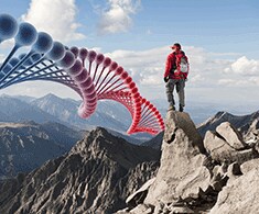 Platinum SuperFi II DNA Polymerase-High Fidelity PCR Enzyme | Thermo ...