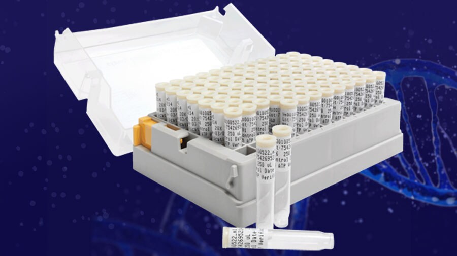 Designing a TaqMan Gene Expression Assay | Thermo Fisher Scientific - BZ