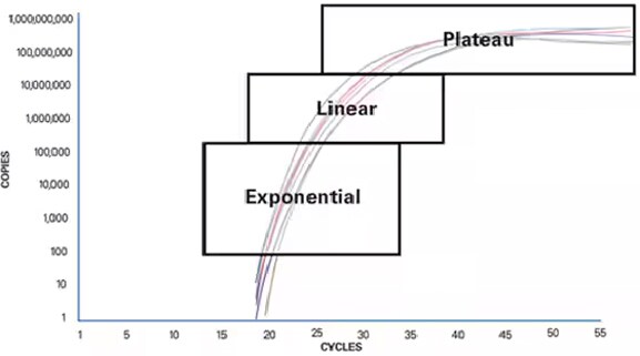 Introduction to Quantitative PCR (qPCR) Gene Expression Analysis ...