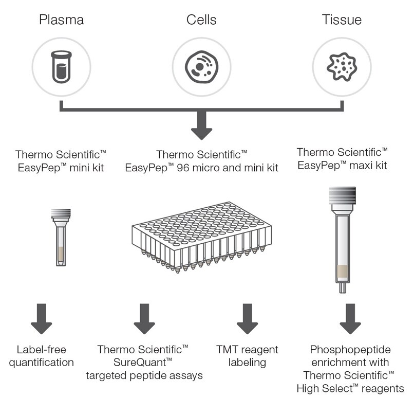 LC-MS Protein Sample Preparation Kits | Thermo Fisher Scientific - BZ