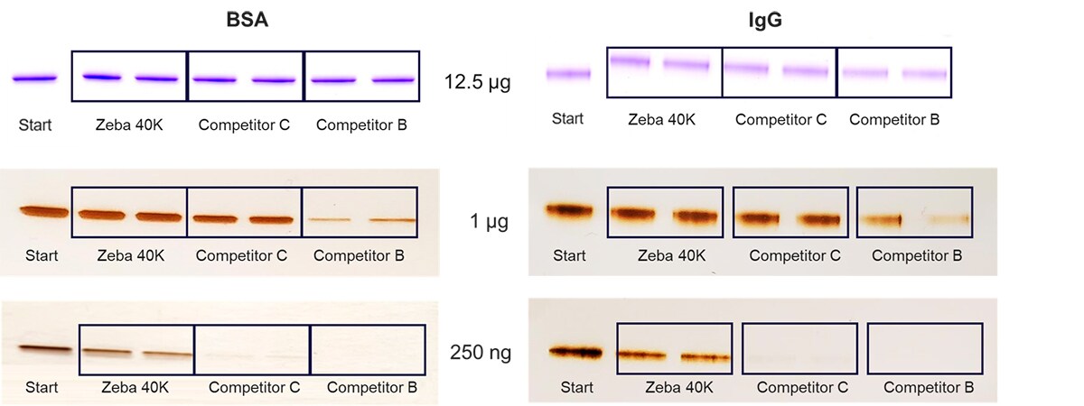 Zeba Spin Desalting Columns | Thermo Fisher Scientific - BZ