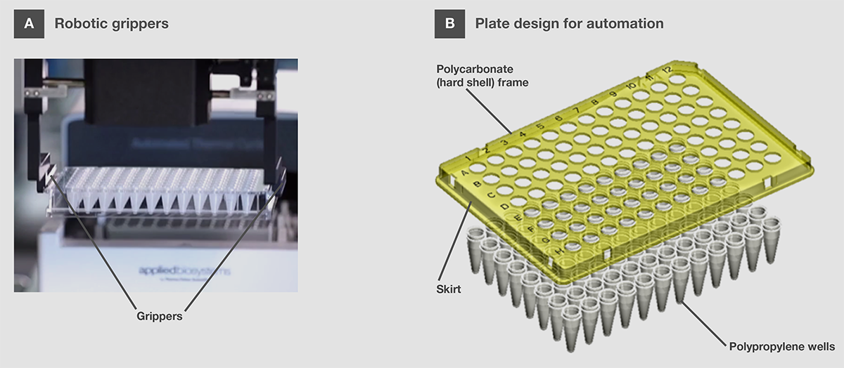 High-Throughput PCR Plates—Four Key Attributes | Thermo Fisher ...