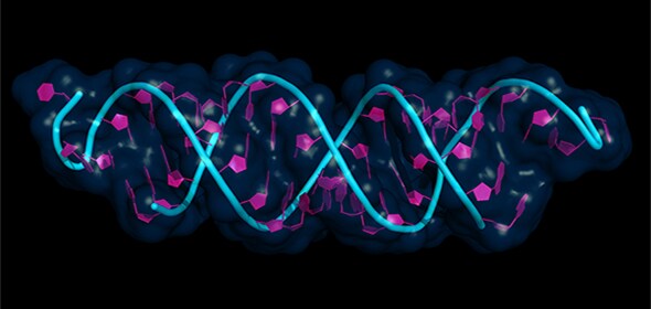 RNA Purification by Invitrogen | Thermo Fisher Scientific - CN