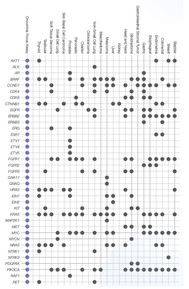 Oncomine Focus Assay | Thermo Fisher Scientific - CN
