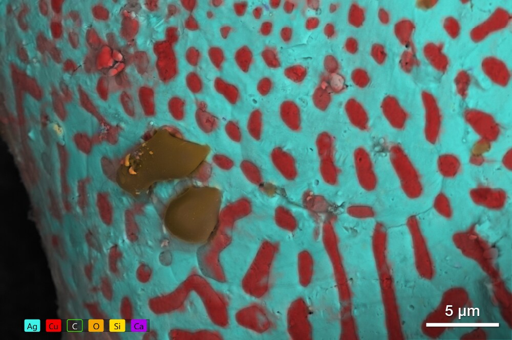 Scanning Electron Microscope | Apreo 2 SEM | Thermo Fisher Scientific - CN