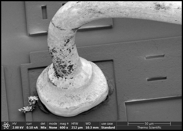 Scanning Electron Microscope | Apreo 2 SEM | Thermo Fisher Scientific - CN