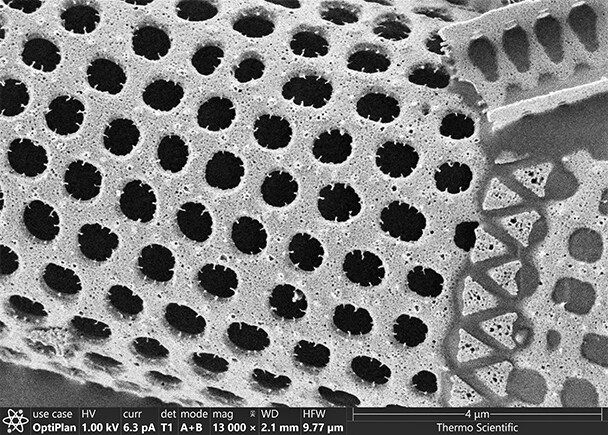 Scanning Electron Microscope | Apreo 2 SEM | Thermo Fisher Scientific - CN