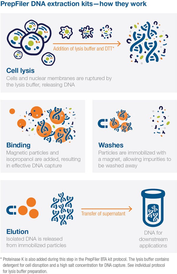 PrepFiler Forensic DNA Extraction Kits | Thermo Fisher Scientific - CN