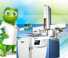 TSQ Duo GC-MS/MS | Thermo Fisher Scientific - CN