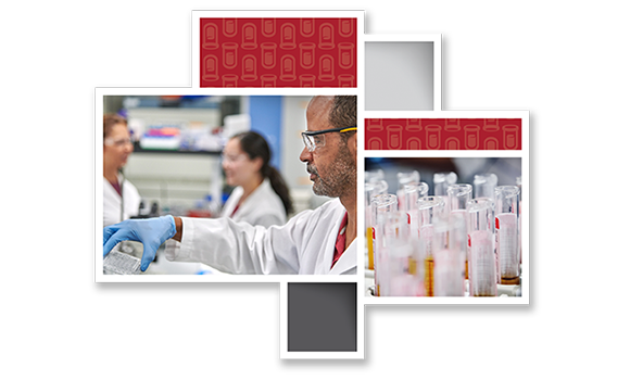 Sample Pre-Analysis for Contract Testing Labs | Thermo Fisher ...
