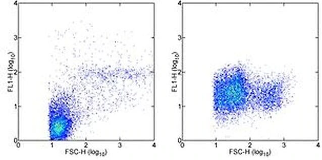 Cytotoxic T Cell Overview | Thermo Fisher Scientific - CN