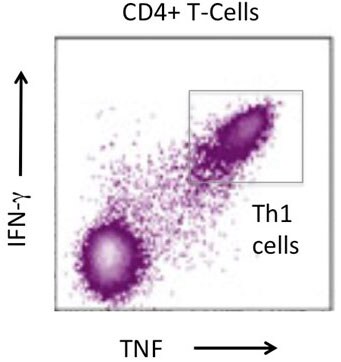 T Helper 1 Cells Overview | Thermo Fisher Scientific - CN