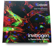 Celleste Image Analysis Software | Thermo Fisher Scientific - CN