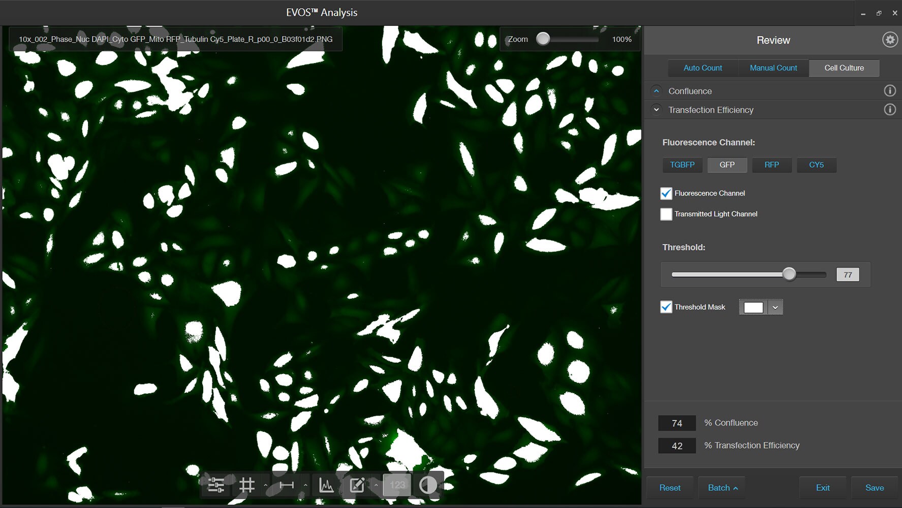 EVOS M5000 Imaging System | Thermo Fisher Scientific - CN